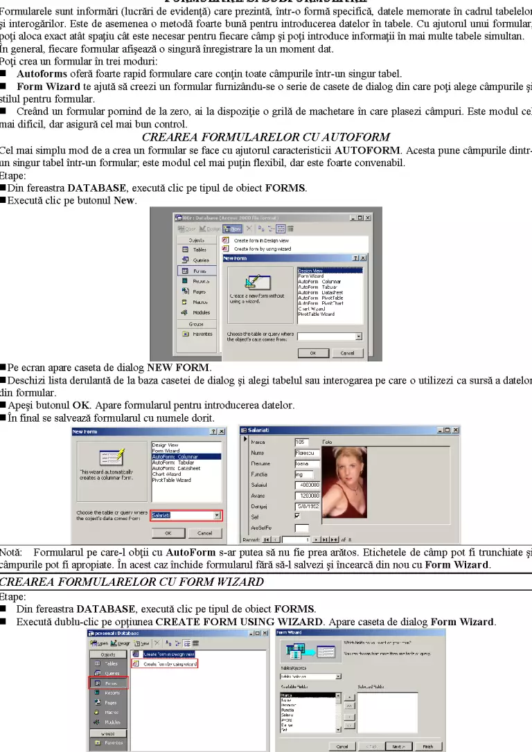 Formulare și Subformulare - Laborator - Sisteme de Operare #95051 ...