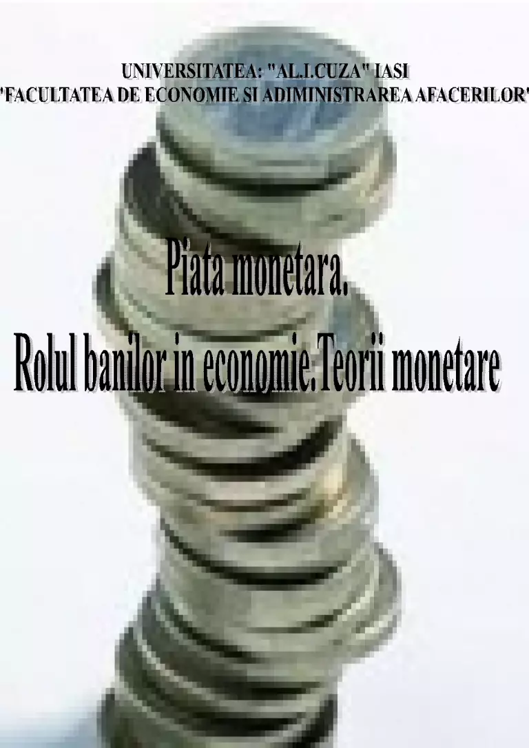 Piața monetară - Proiect - Economie #98245 | RegieLive