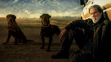 Subtitrari noi pentru filme si seriale | RegieLive