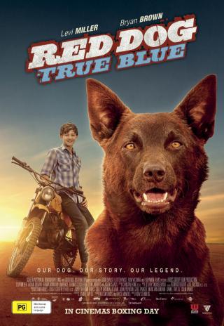 Subtitrări Red Dog: True Blue 2016 | RegieLive