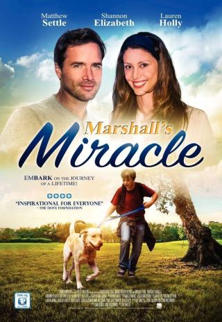 Subtitrări Marshall the Miracle Dog 2015 | RegieLive