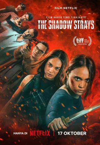 Subtitrări The Shadow Strays 2024 | RegieLive