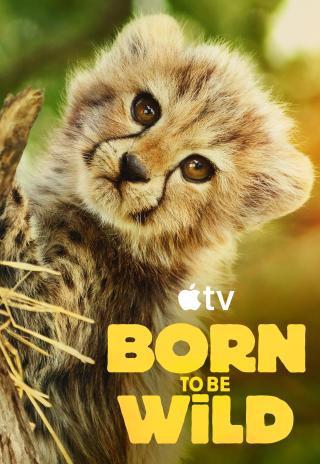 Subtitrări Born to be Wild 2025 sezonul 1 | RegieLive
