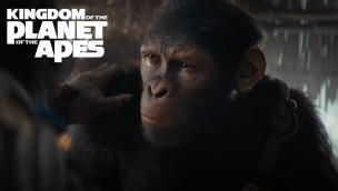 Subtitrări Kingdom of the Planet of the Apes 2024 | RegieLive